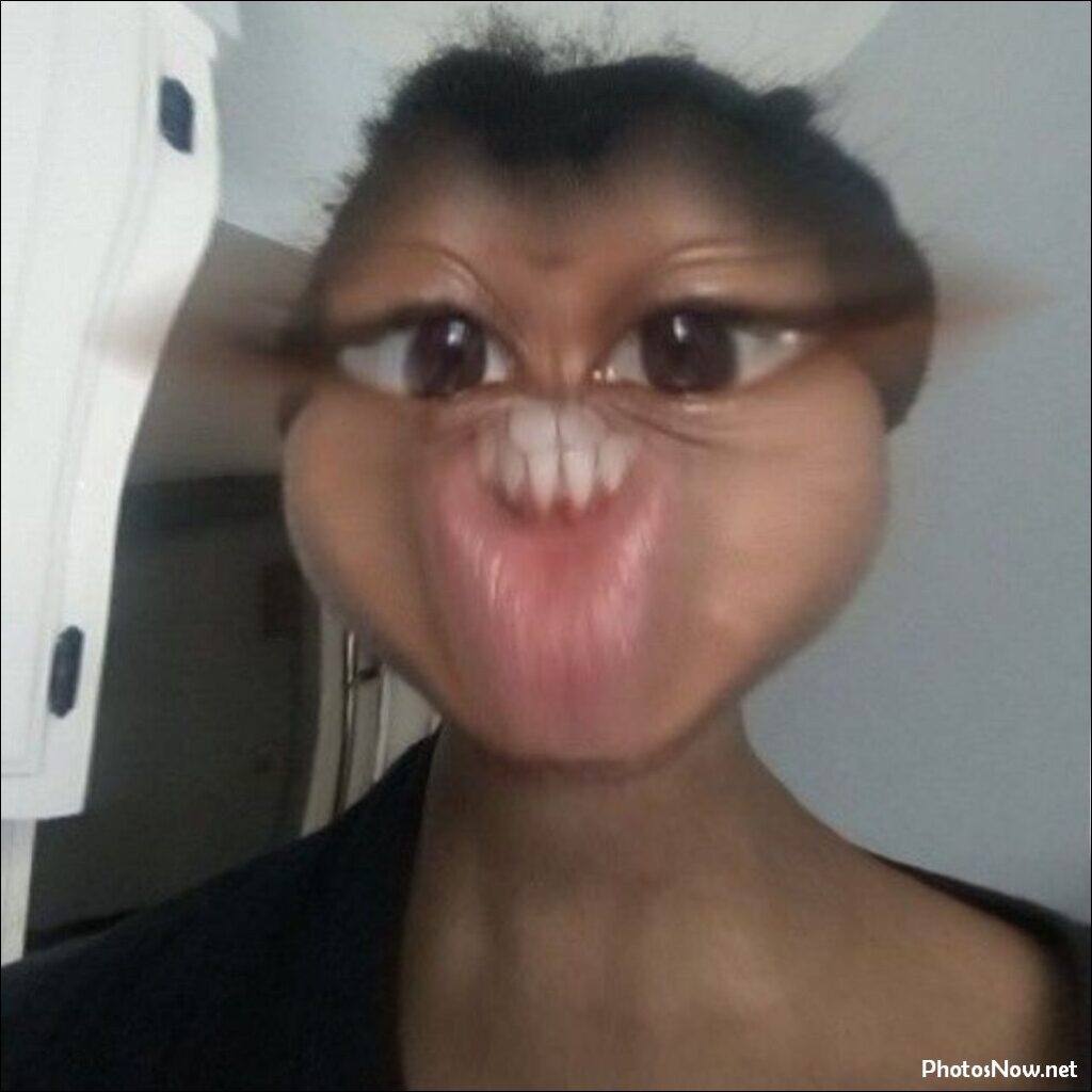 [1005+] Goofy Ahh Pictures, Meme, PFP, Funny & Wallpapers (2025 ...