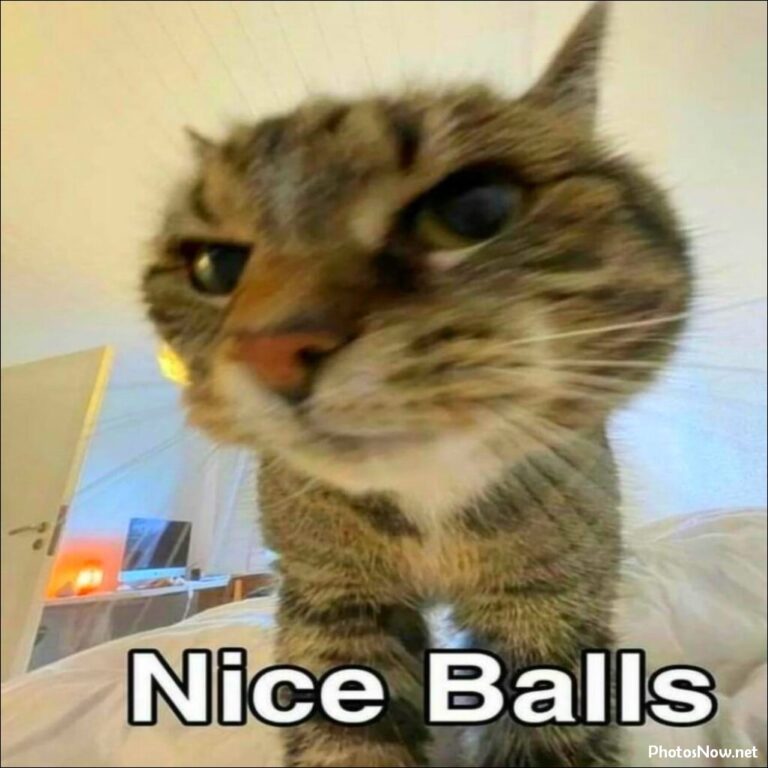 [1005+] Goofy Ahh Pictures, Meme, PFP, Funny & Wallpapers (2025 ...