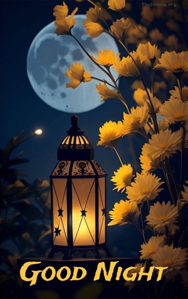 [1055+] New Good Night Images, Pics, Photos & Pictures (2025) - PhotosNow