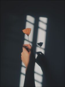 [525+] Aesthetic Dp for Whatsapp & Instagram (2025) - PhotosNow