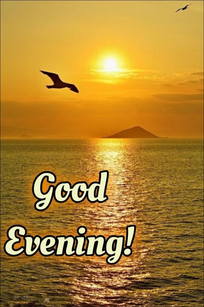 [1005+] New Good Evening Images, Pics, Photos & Pictures (2025) - PhotosNow