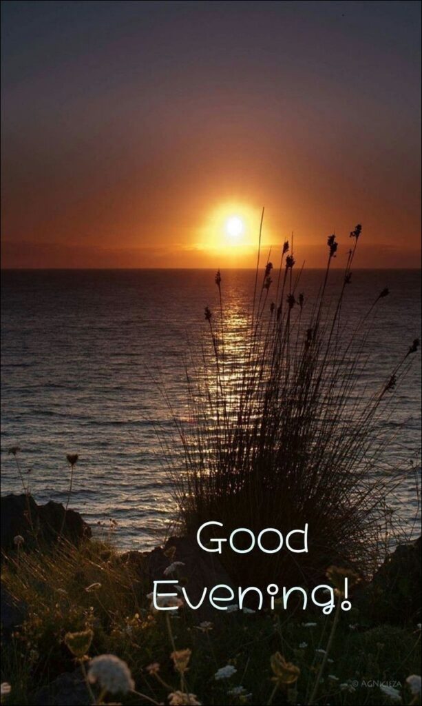 [1005+] New Good Evening Images, Pics, Photos & Pictures (2025) - PhotosNow