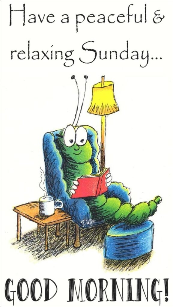 [425+] Happy Sunday Images, Photos, Pictures & Pics (2025) - PhotosNow