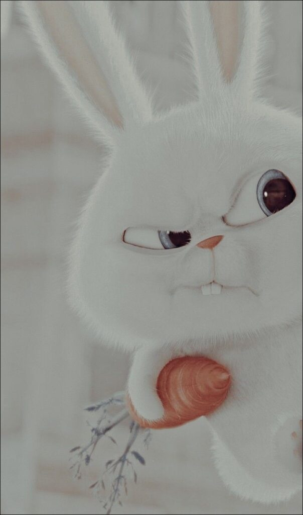 [541+] Cute Dp, Images, Pics, Photos, Pictures & Wallpapers (2025 ...