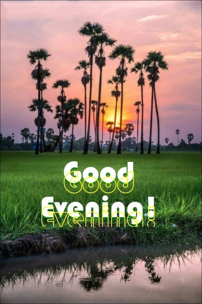 [1005+] New Good Evening Images, Pics, Photos & Pictures (2025) - PhotosNow